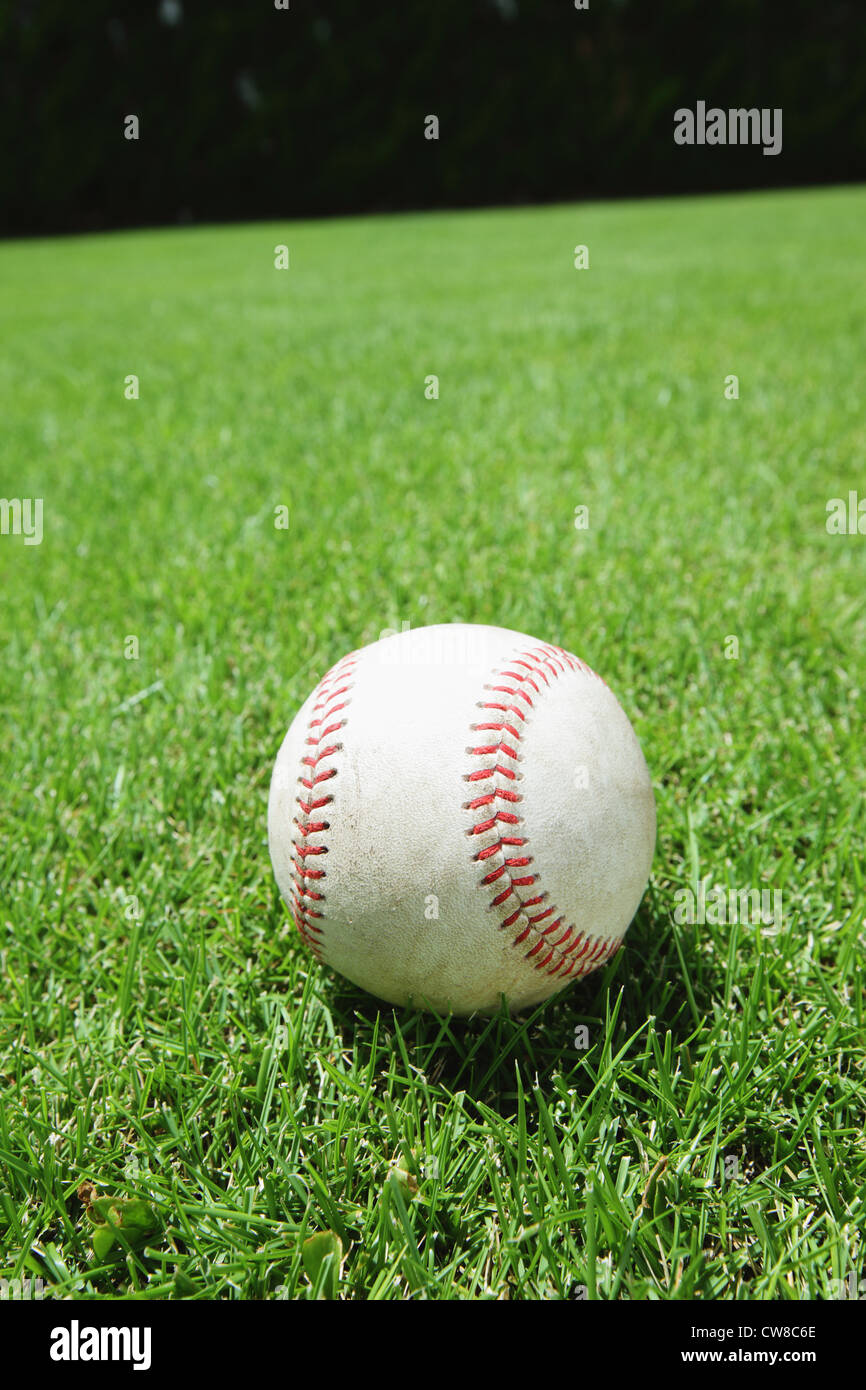 Cricket pitch detail hi-res stock photography and images - Alamy