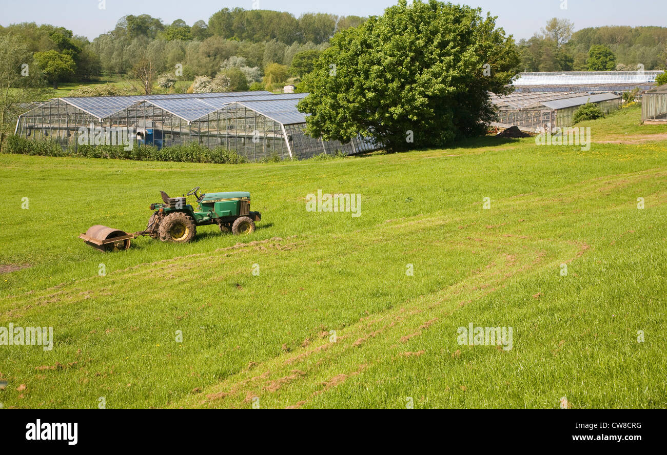 Old tractor and glasshouses of market garden Newbourne Suffolk England ...