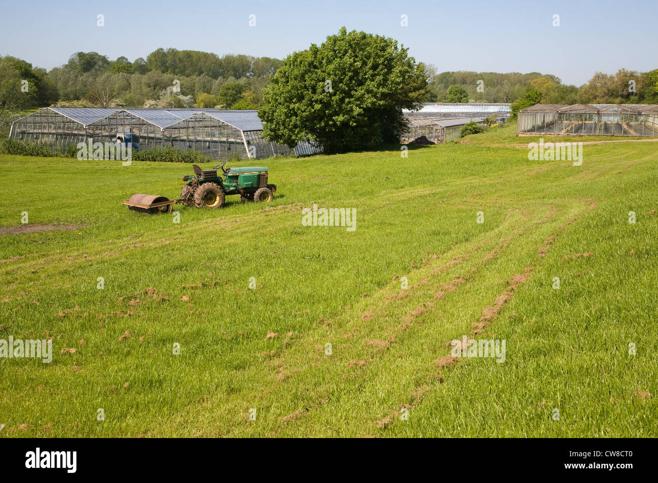 Old tractor and glasshouses of market garden Newbourne Suffolk England ...