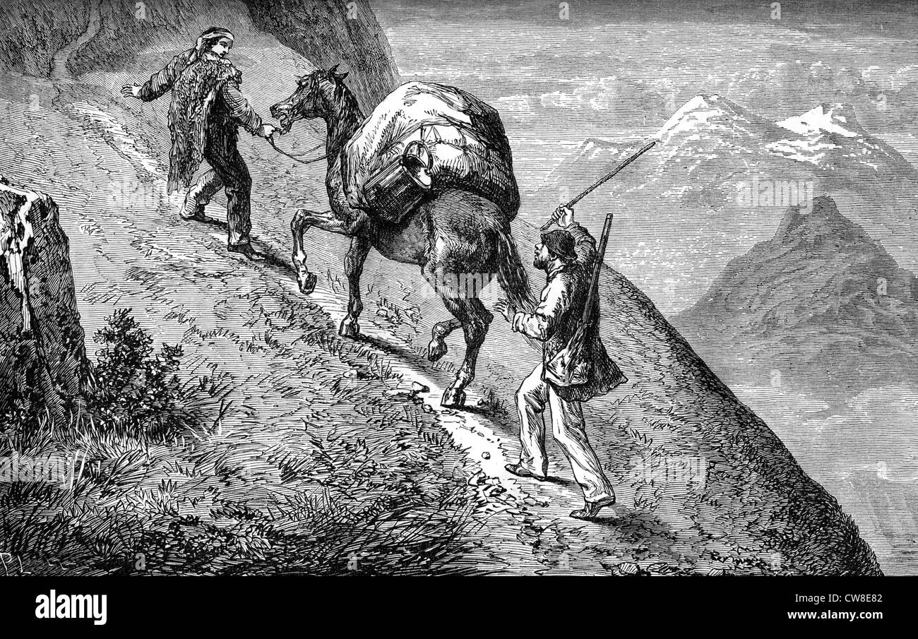 Horse climbing mountain Black and White Stock Photos & Images - Alamy