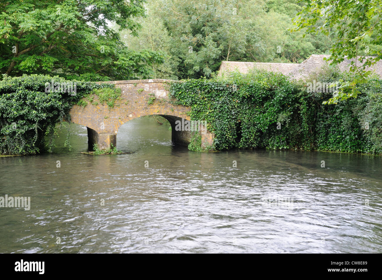 Ivy covered Cotswold Stone bridge crossing the Bibury river Bibury ...