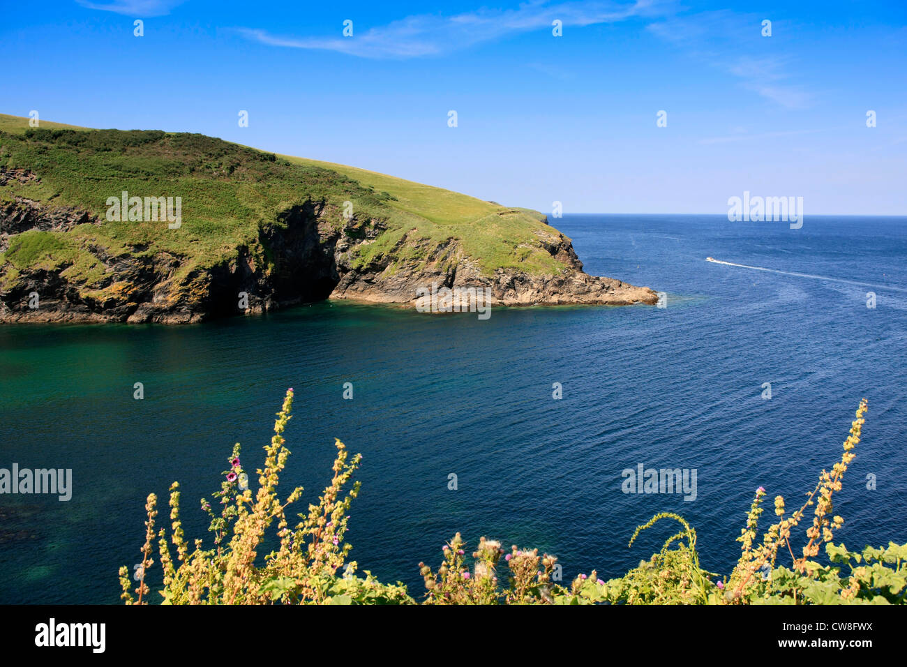 Cornish headland near Port Isaac Cornwall on the Atlantic Coastline ...