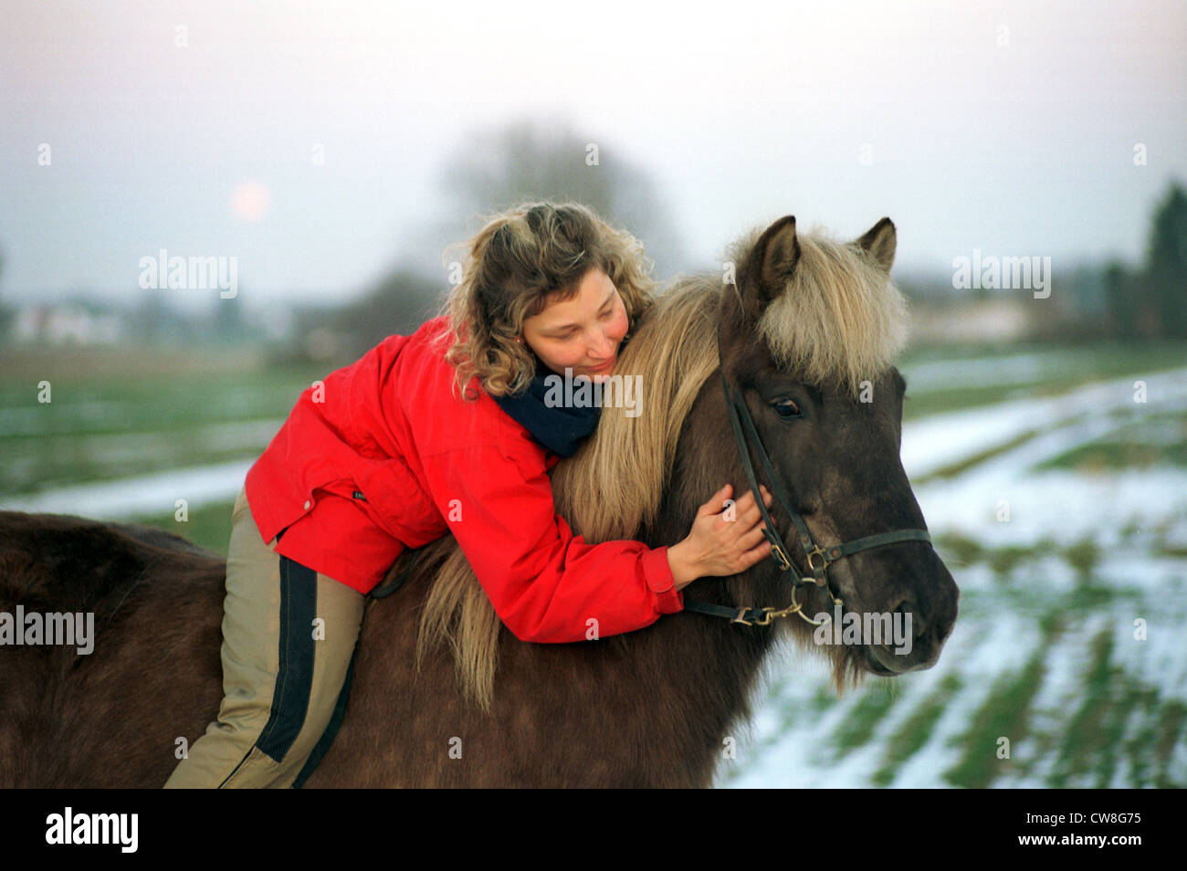 Night Pony High Resolution Stock Photography and Images - Alamy