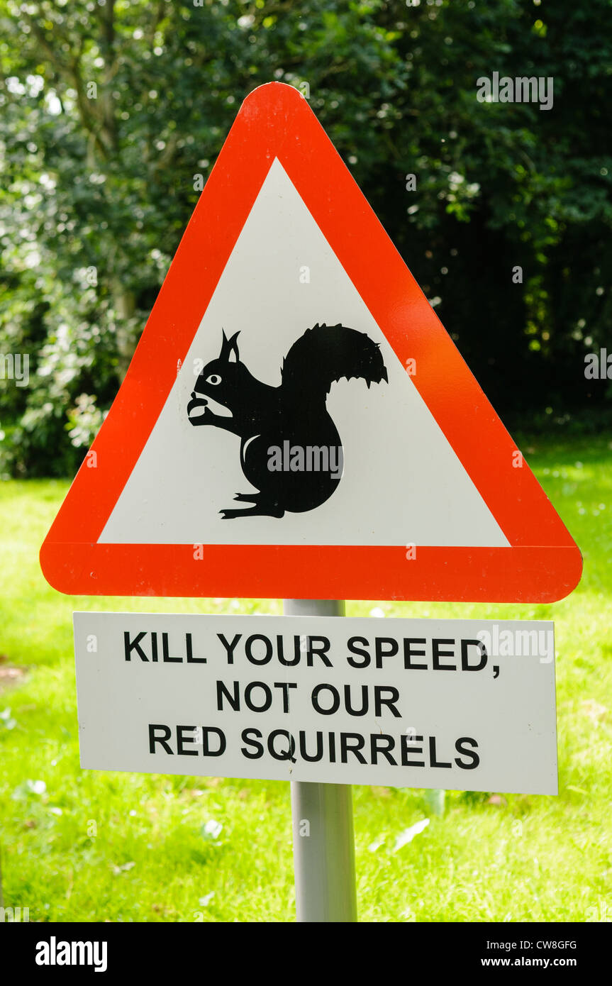 Warning sign asking motorists to slow down and take care with red ...