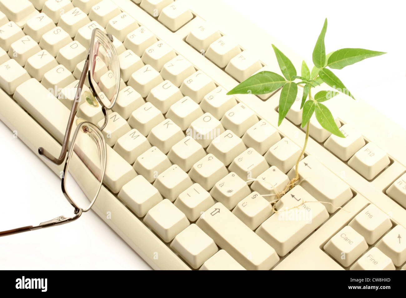 A small plant growing on a personal computer keyboard, the left glasses ...