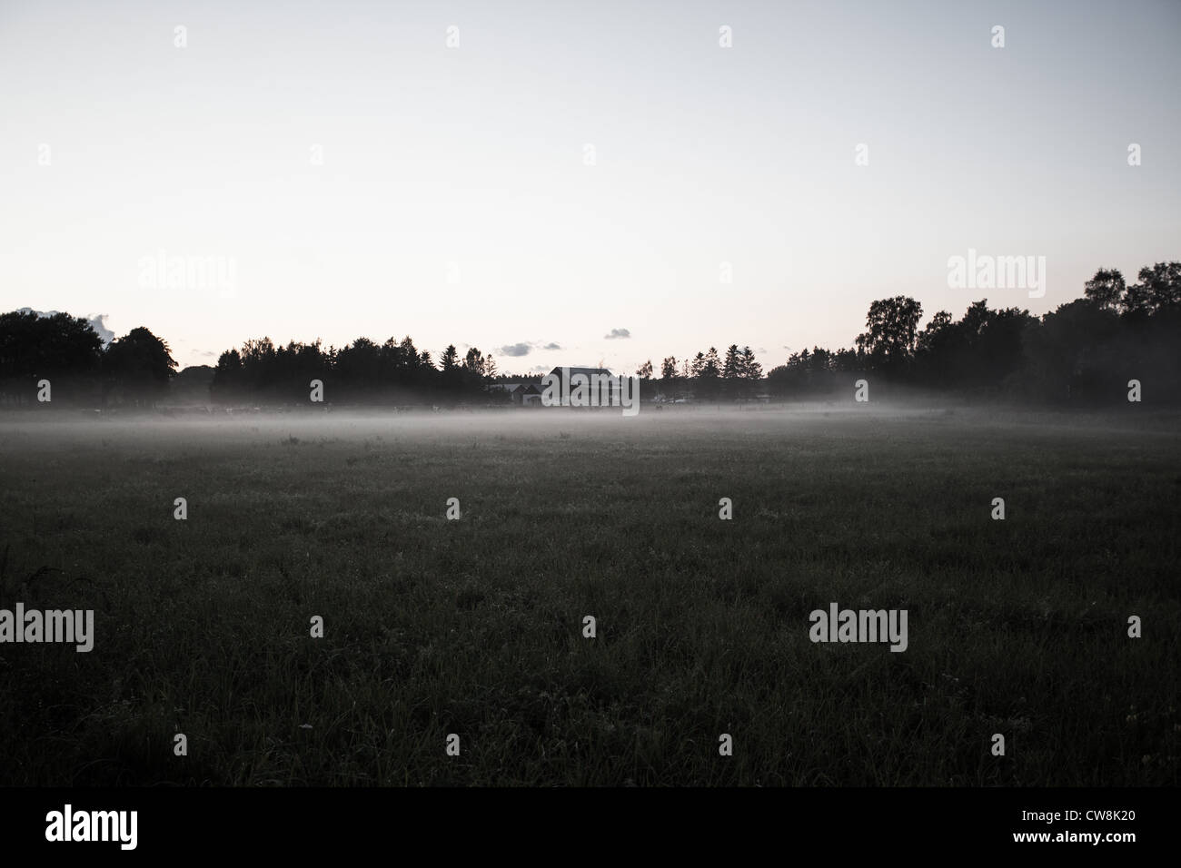 Field with fog Stock Photo - Alamy