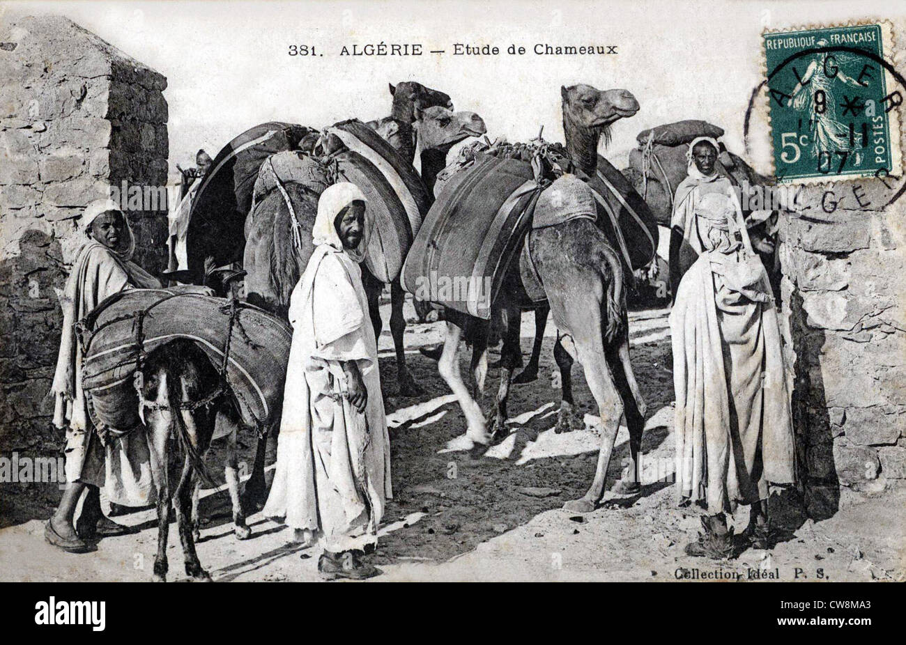 Algeria animals hi-res stock photography and images - Alamy