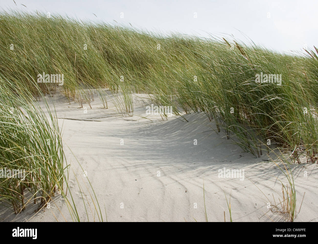 Know way waves hi-res stock photography and images - Alamy