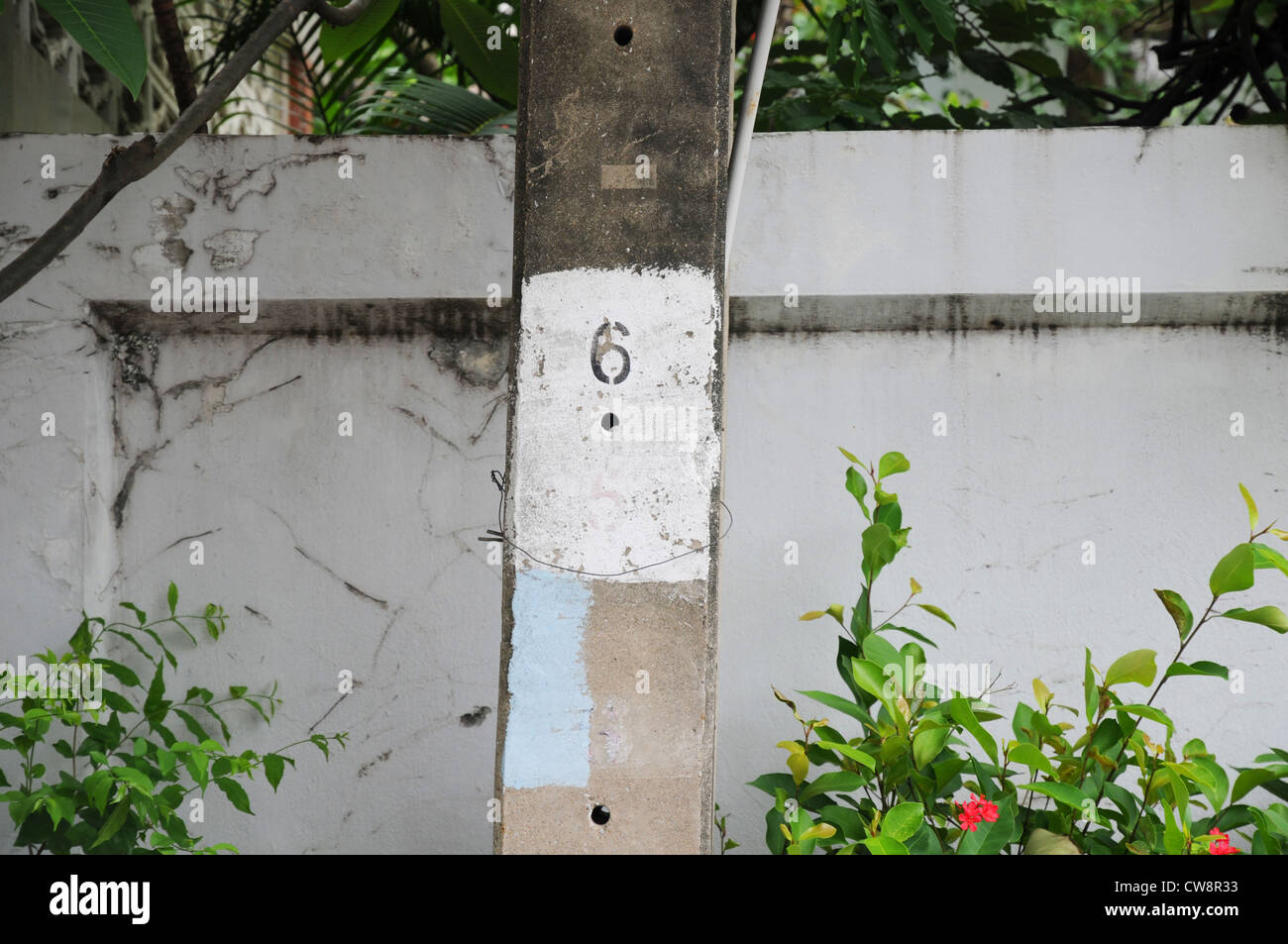 6, concrete post and white wall, exotic plants, roadside, Soi 25 ...