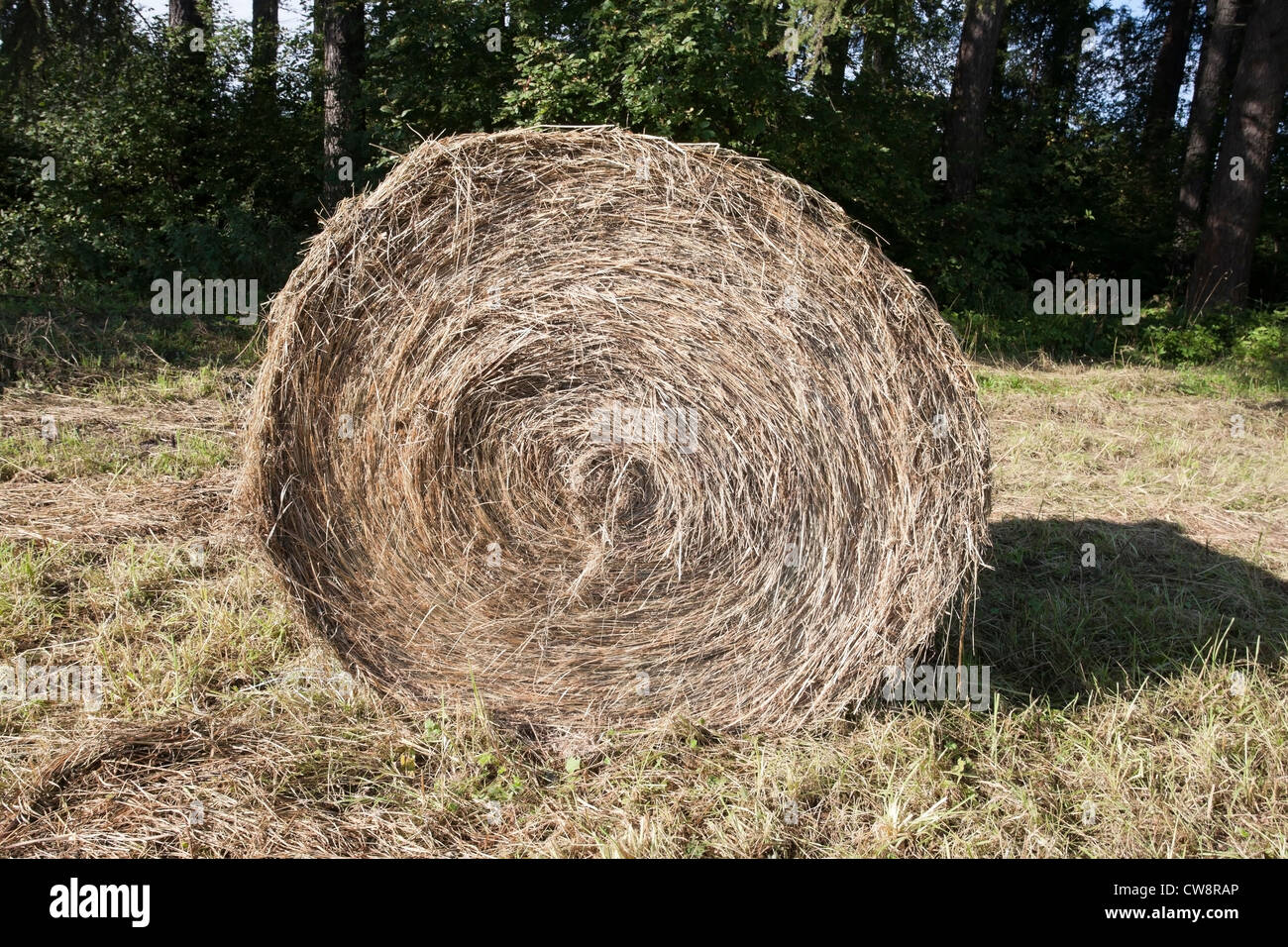 circular hay bale Stock Photo - Alamy