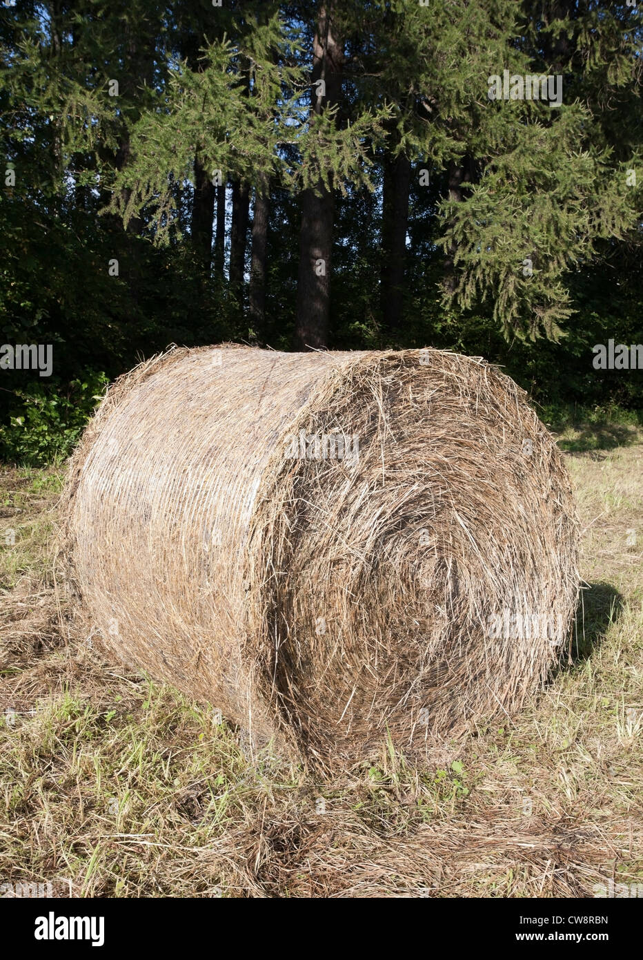 Circular hay hi-res stock photography and images - Alamy