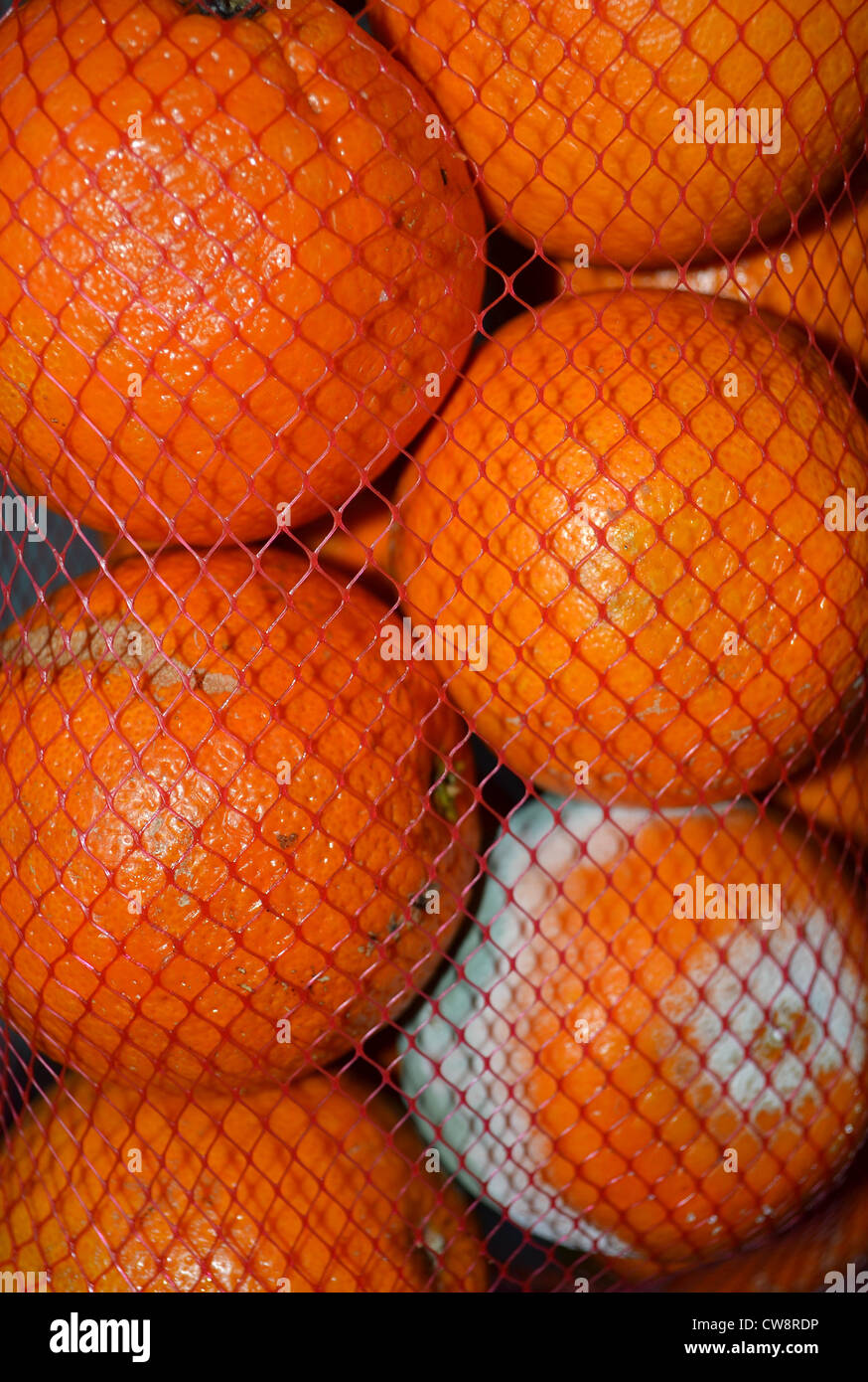 Net Bag Oranges Stock Photos & Net Bag Oranges Stock Images - Alamy