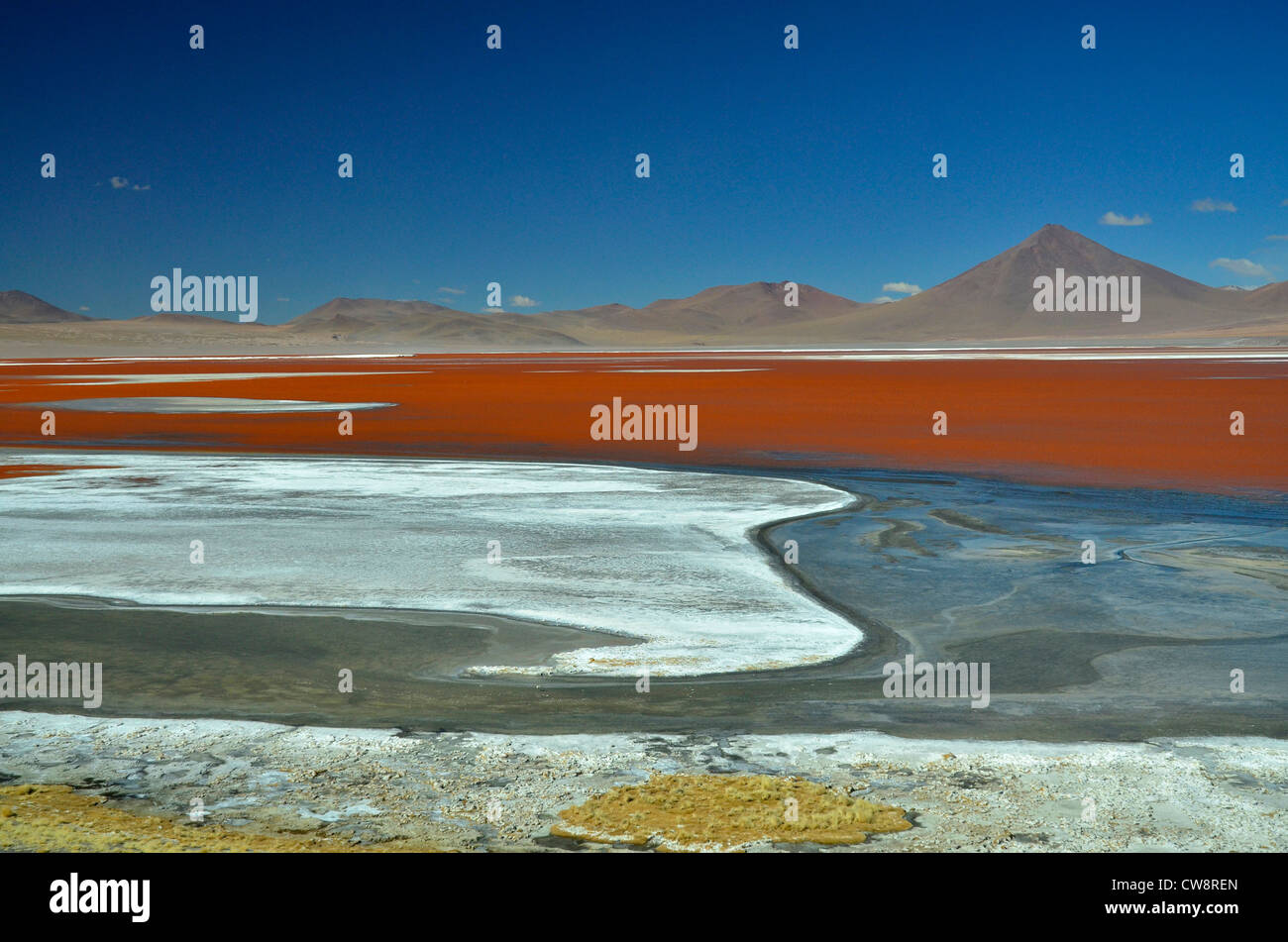 Travel in high altitude of Altiplano plateau in Bolivia, South America ...