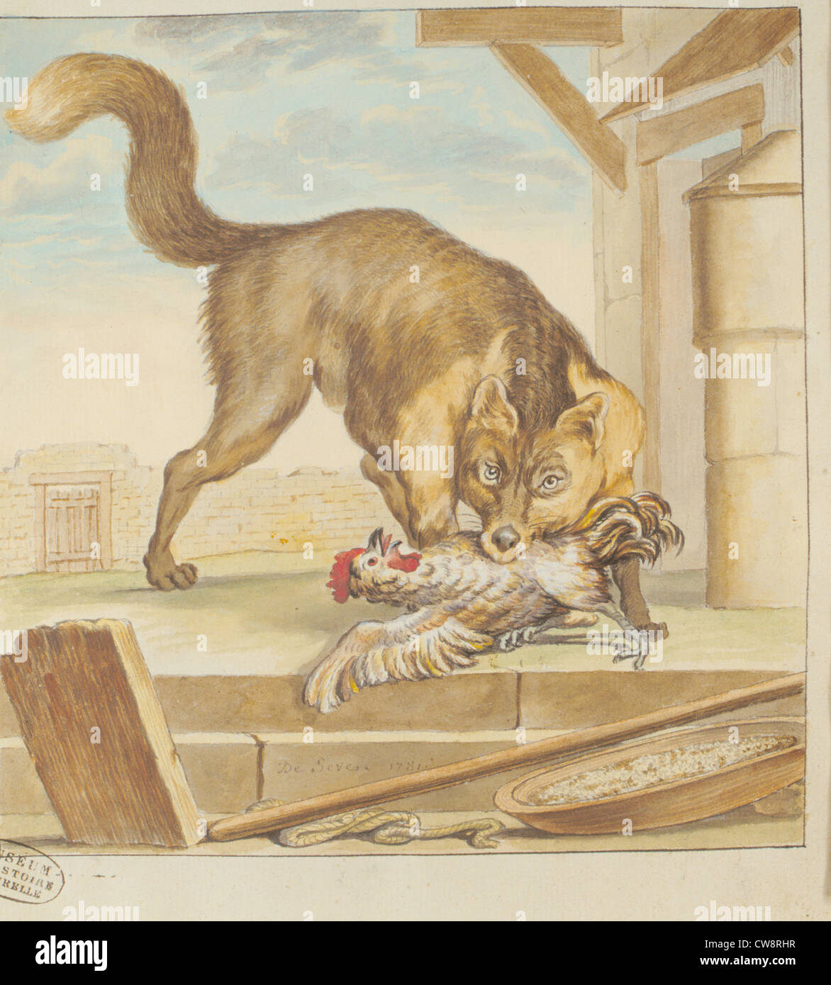 Renard, drawing by Seve Stock Photo - Alamy