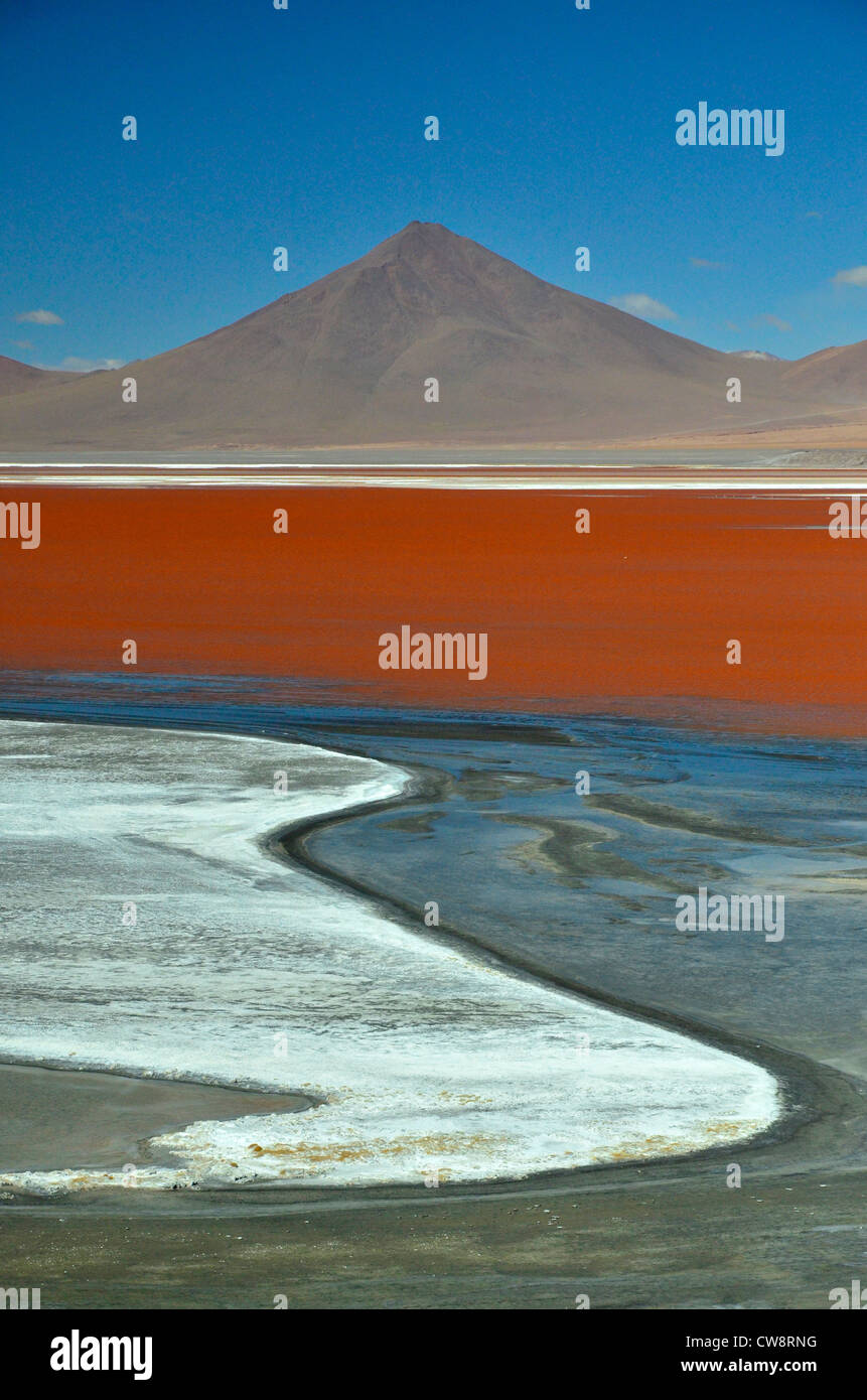 Travel in high altitude of Altiplano plateau in Bolivia, South America ...