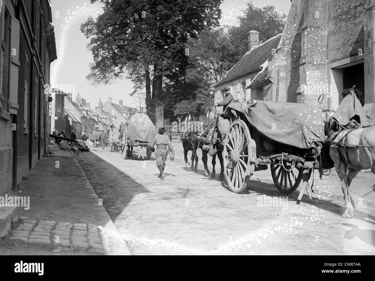 Horse supply Black and White Stock Photos & Images - Alamy