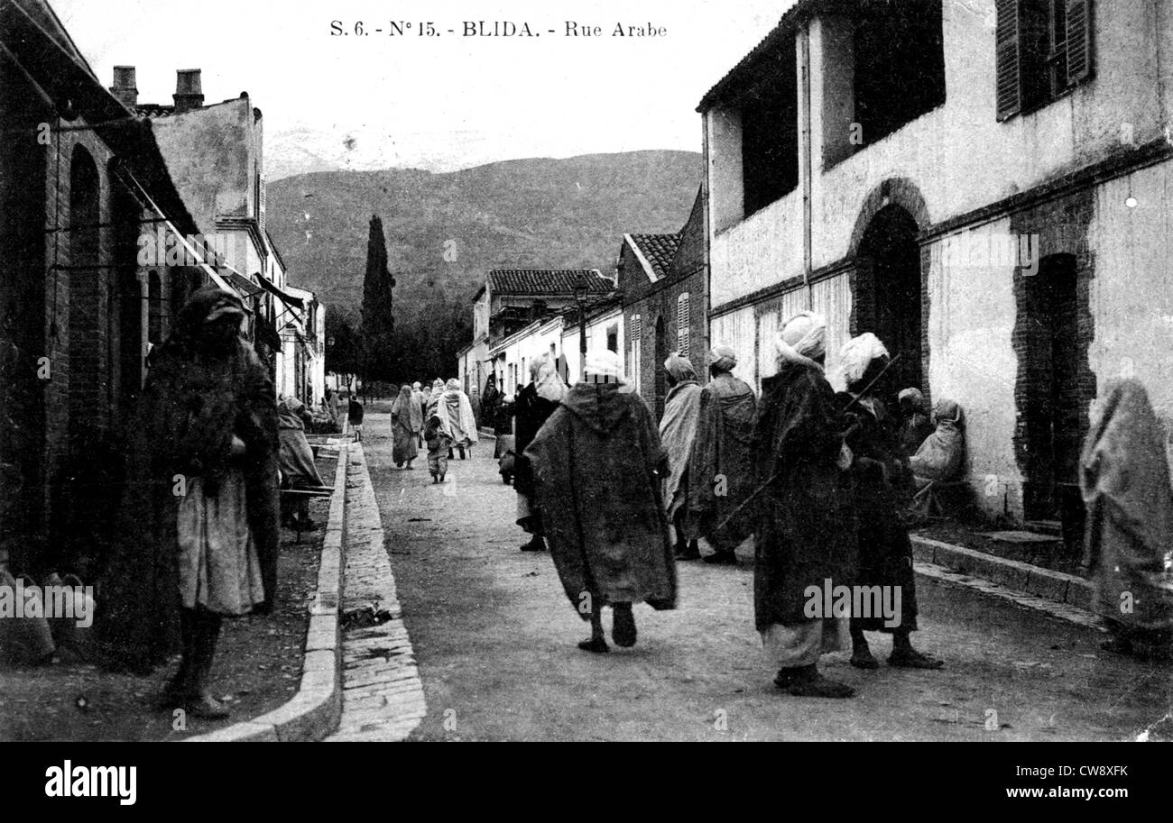 Blida algeria hi-res stock photography and images - Alamy