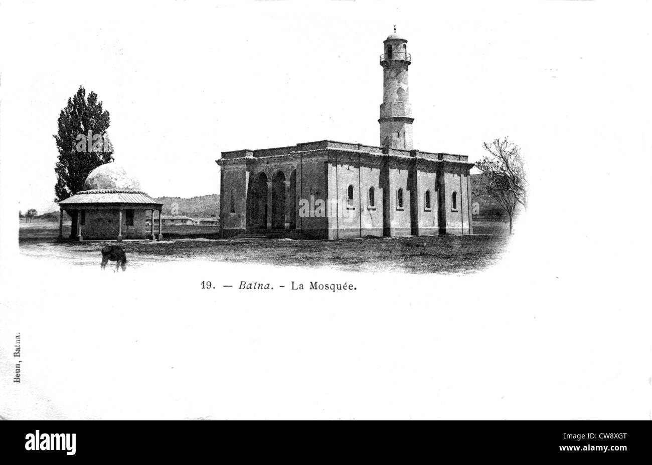 Batna, the mosque Stock Photo - Alamy