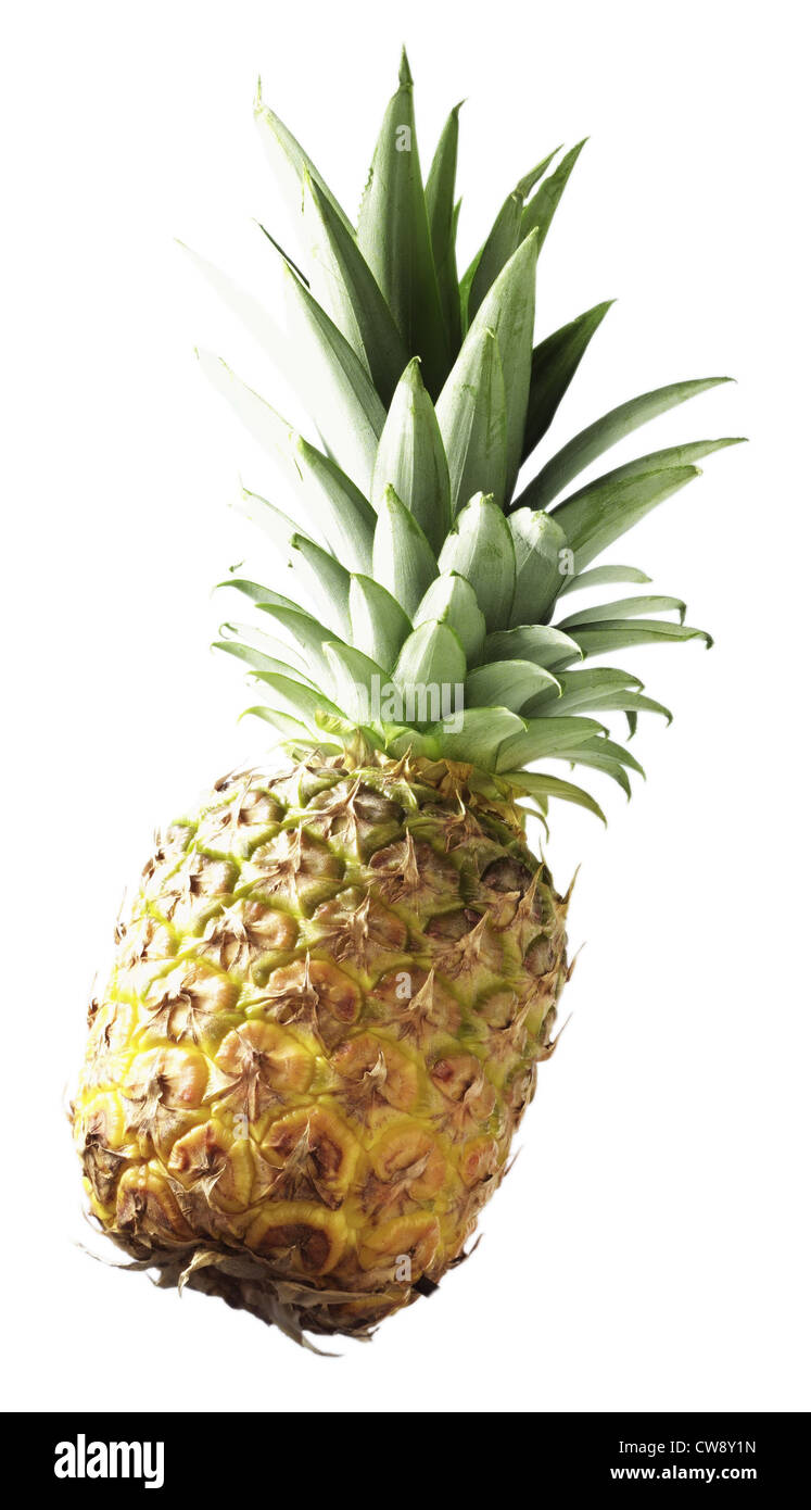 Pineapple isolated on white Stock Photo - Alamy