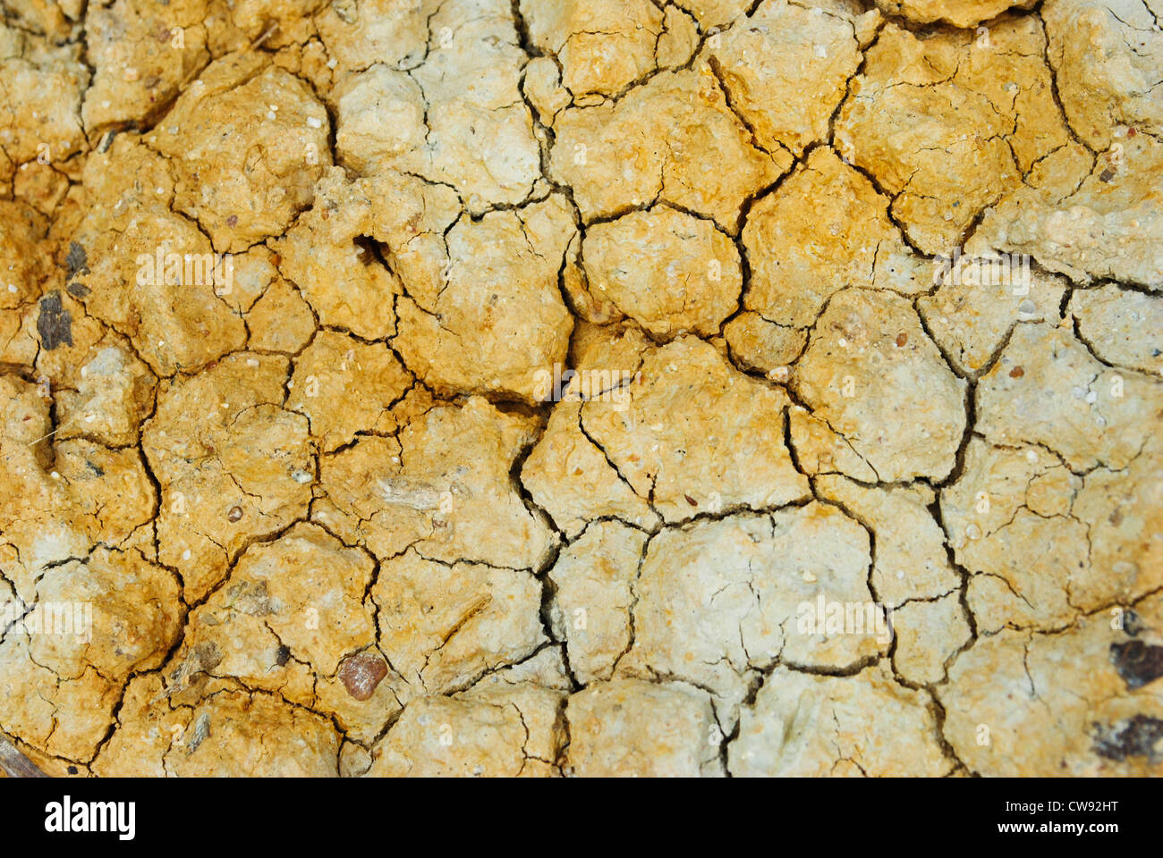 Dry soil texture Stock Photo - Alamy