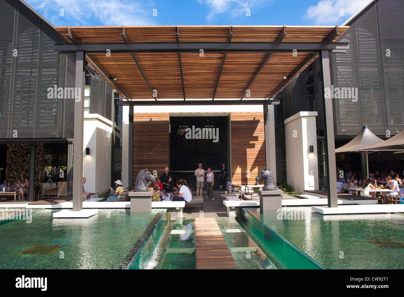 Klein Steenberg vineyard in the Constantia Valley, outside Cape Town ...