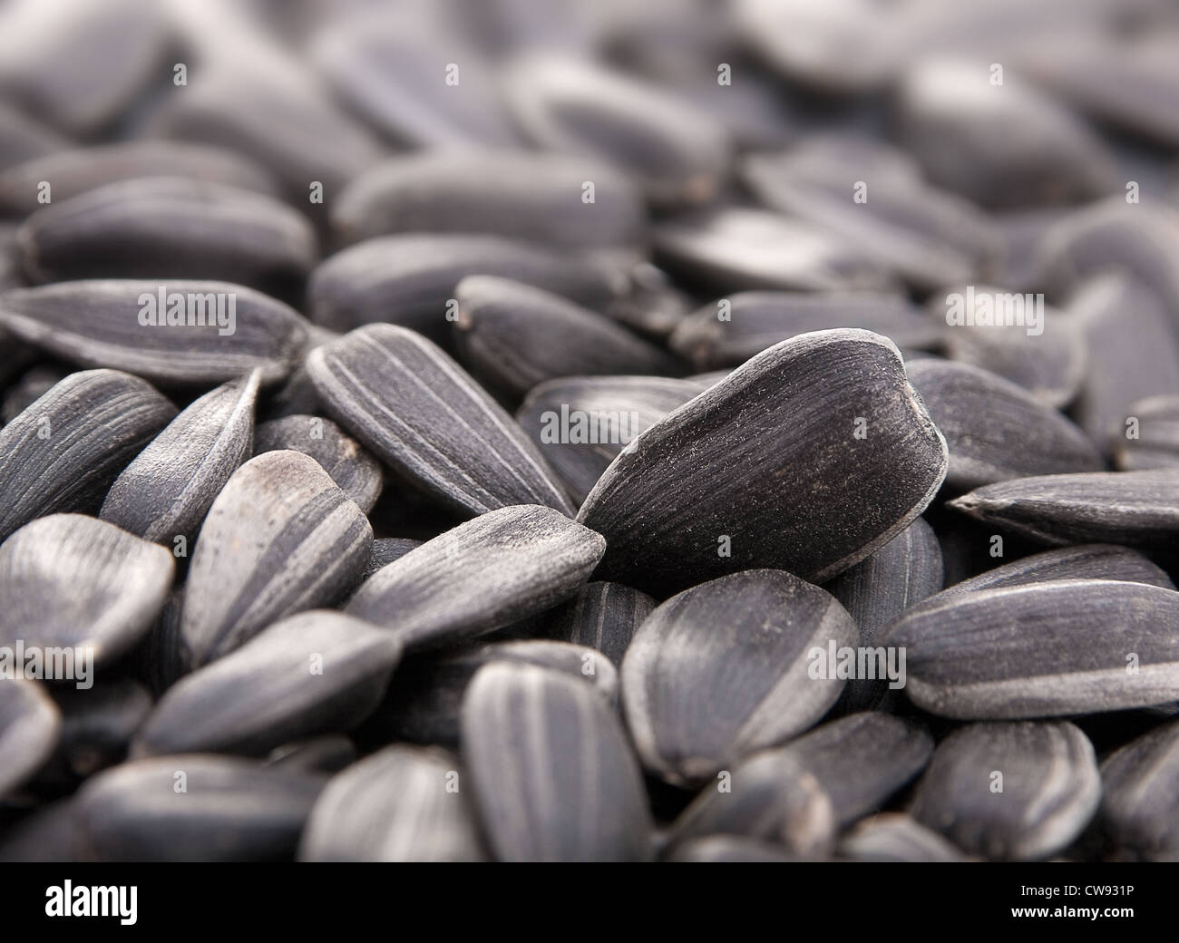 Sunflower seed macro background Stock Photo - Alamy