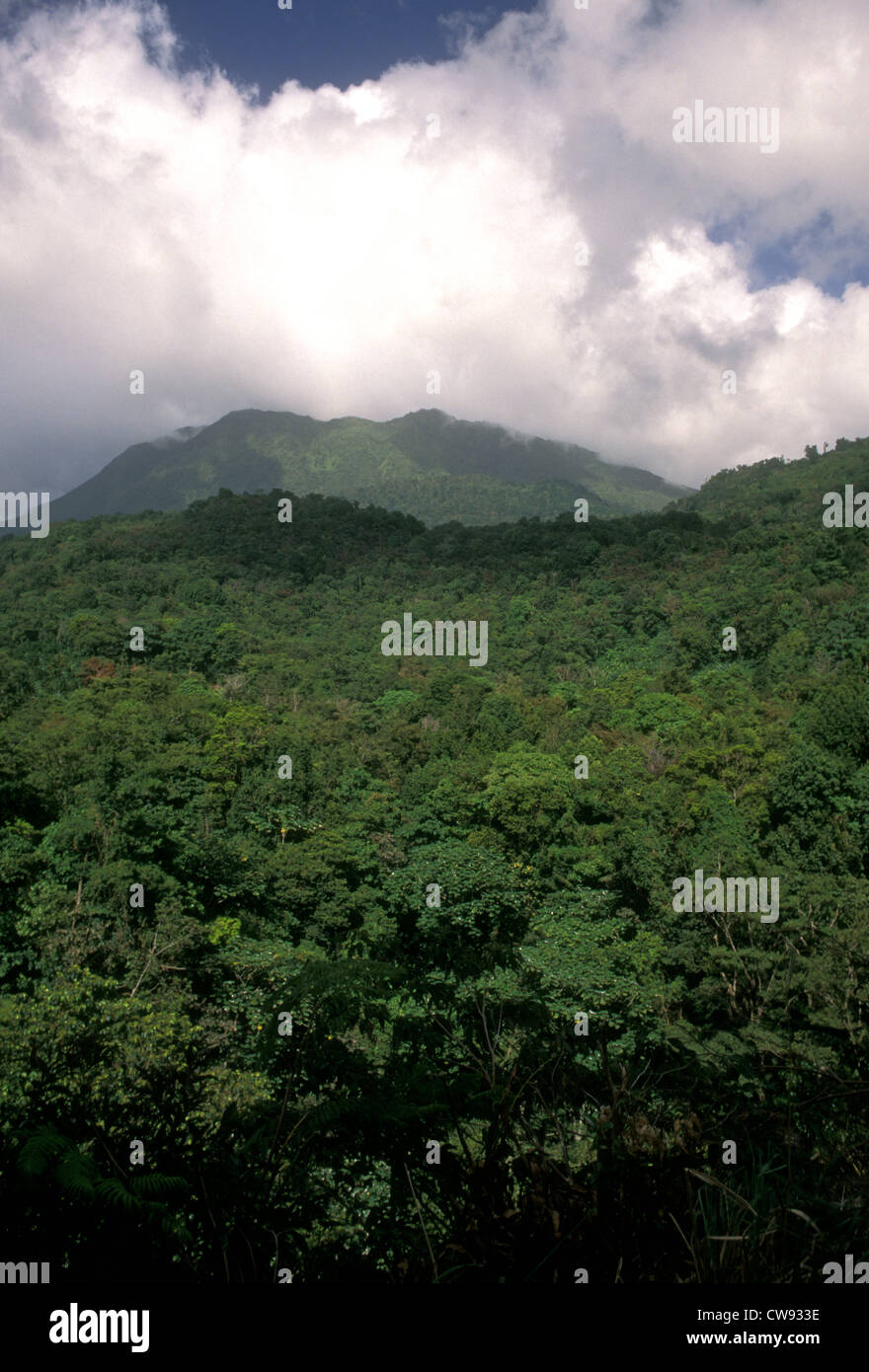 Laudat Mountain, near village of Laudat, Laudat, Dominica, West Indies ...