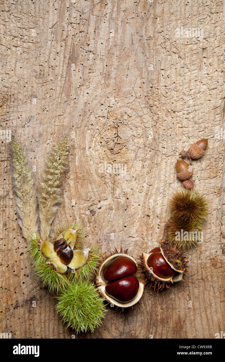 Decorative autumn border with chestnuts, and leaves Stock Photo - Alamy