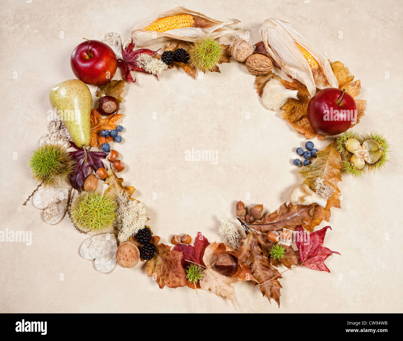 Fall border frame image of autumn fruits nuts and leaves Stock Photo ...