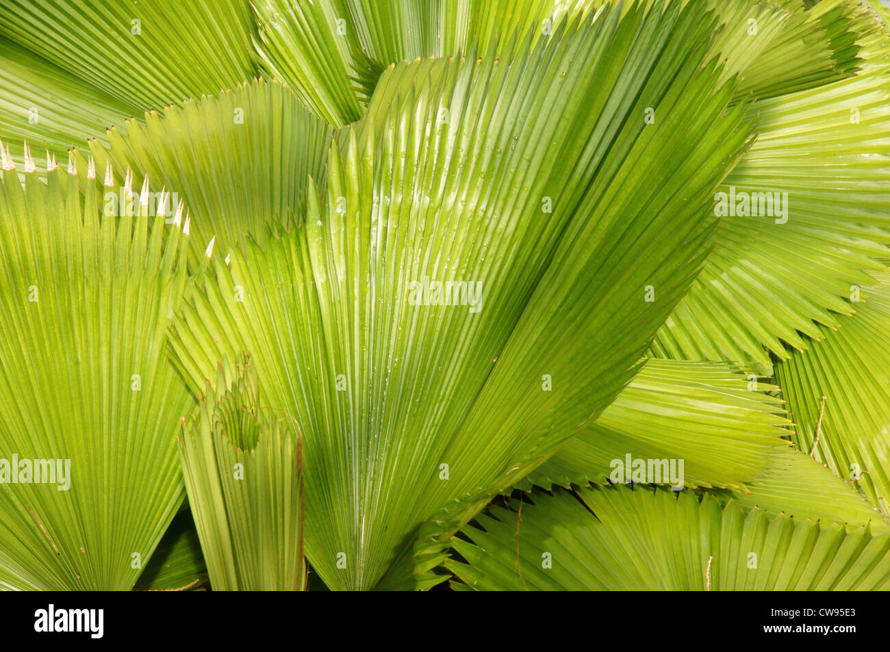 Reno attractions hi-res stock photography and images - Alamy