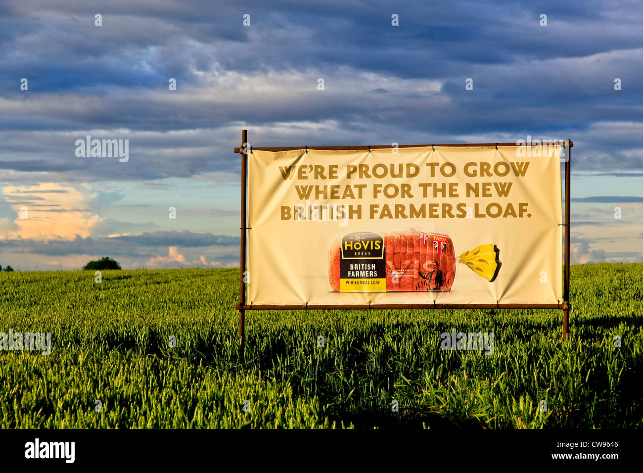 A large sunlit sign in a wheat field advertising "Hovis" Farmers Loaf ...