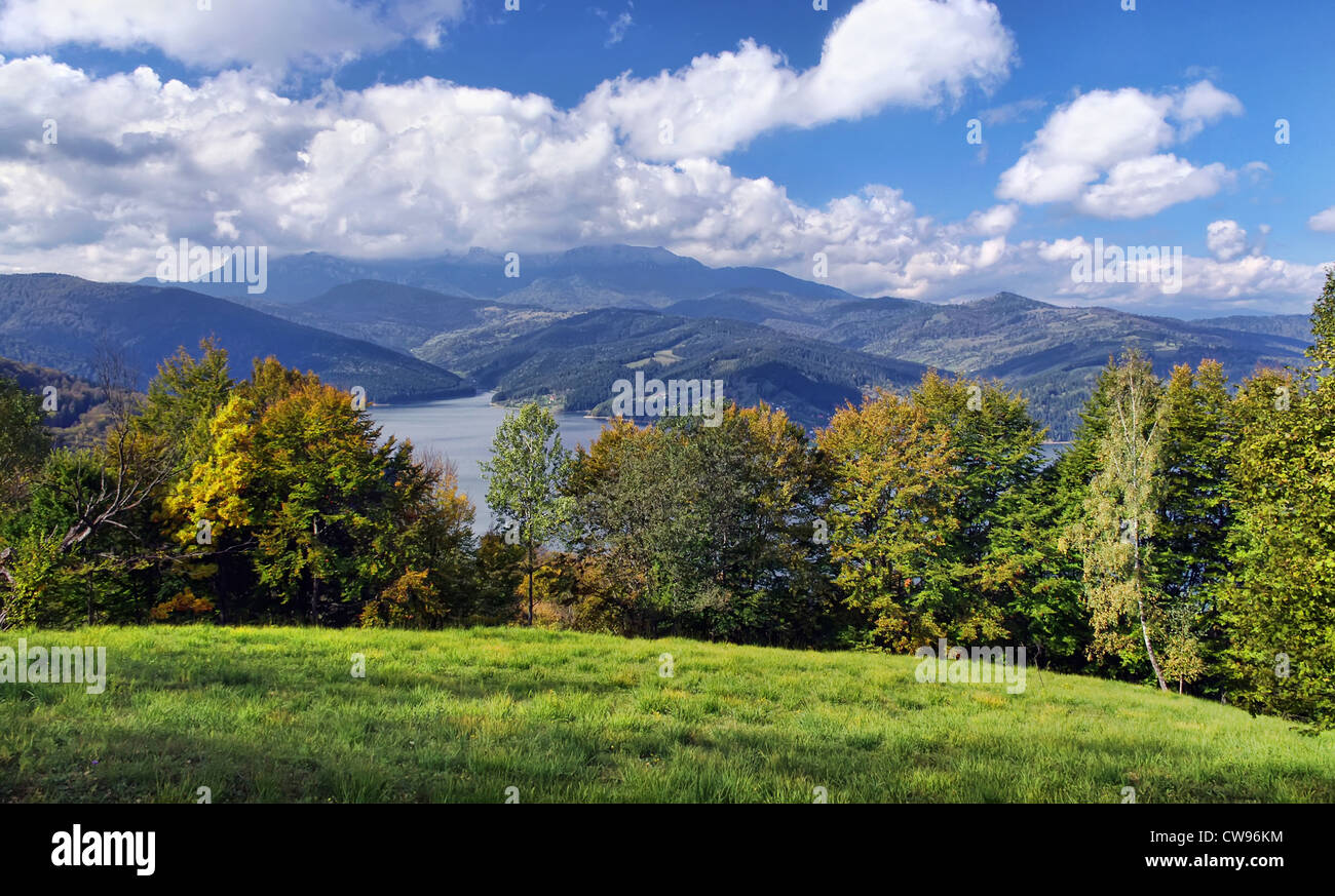 Romania forest hi-res stock photography and images - Alamy