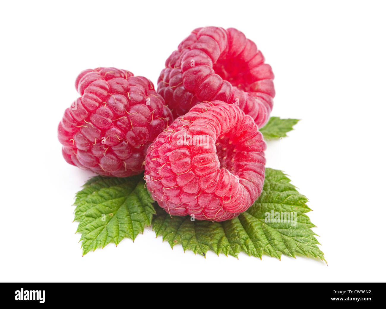 Raspberry fruit closeup isolated on white background Stock Photo - Alamy