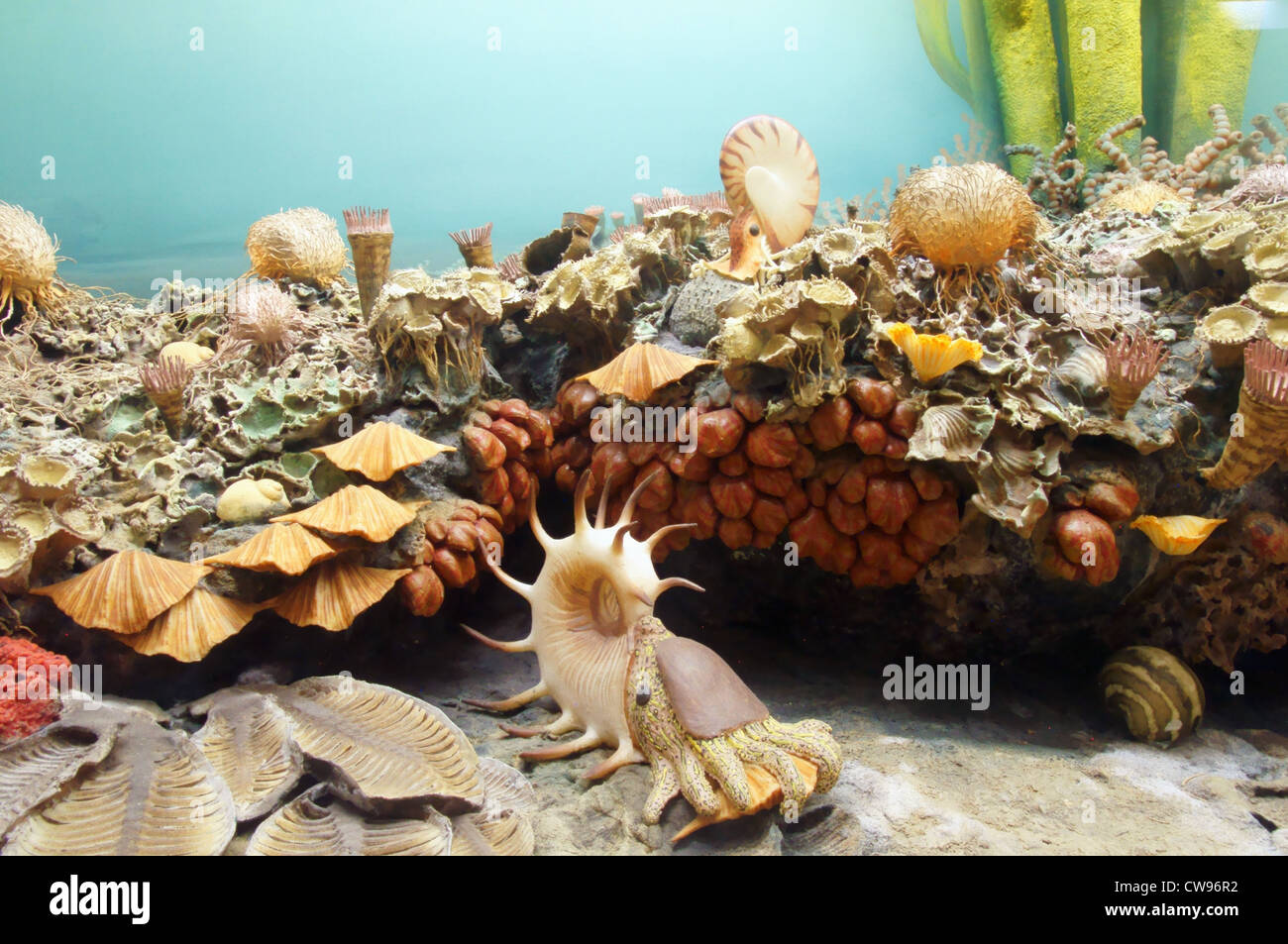 Permian painting hi-res stock photography and images - Alamy