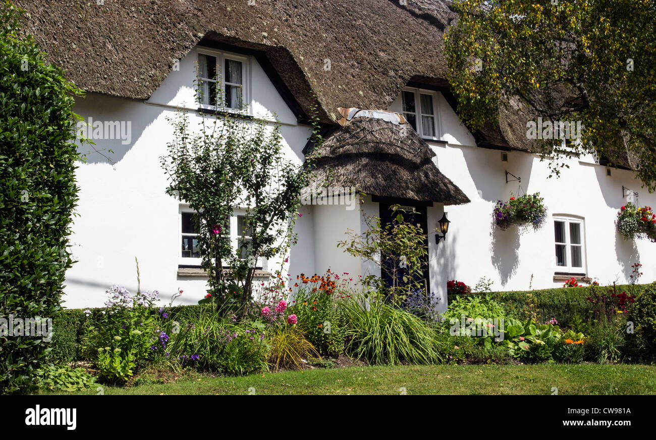 Thatched Cottage, front garden, entrance porch, Ringwood, Hampshire ...
