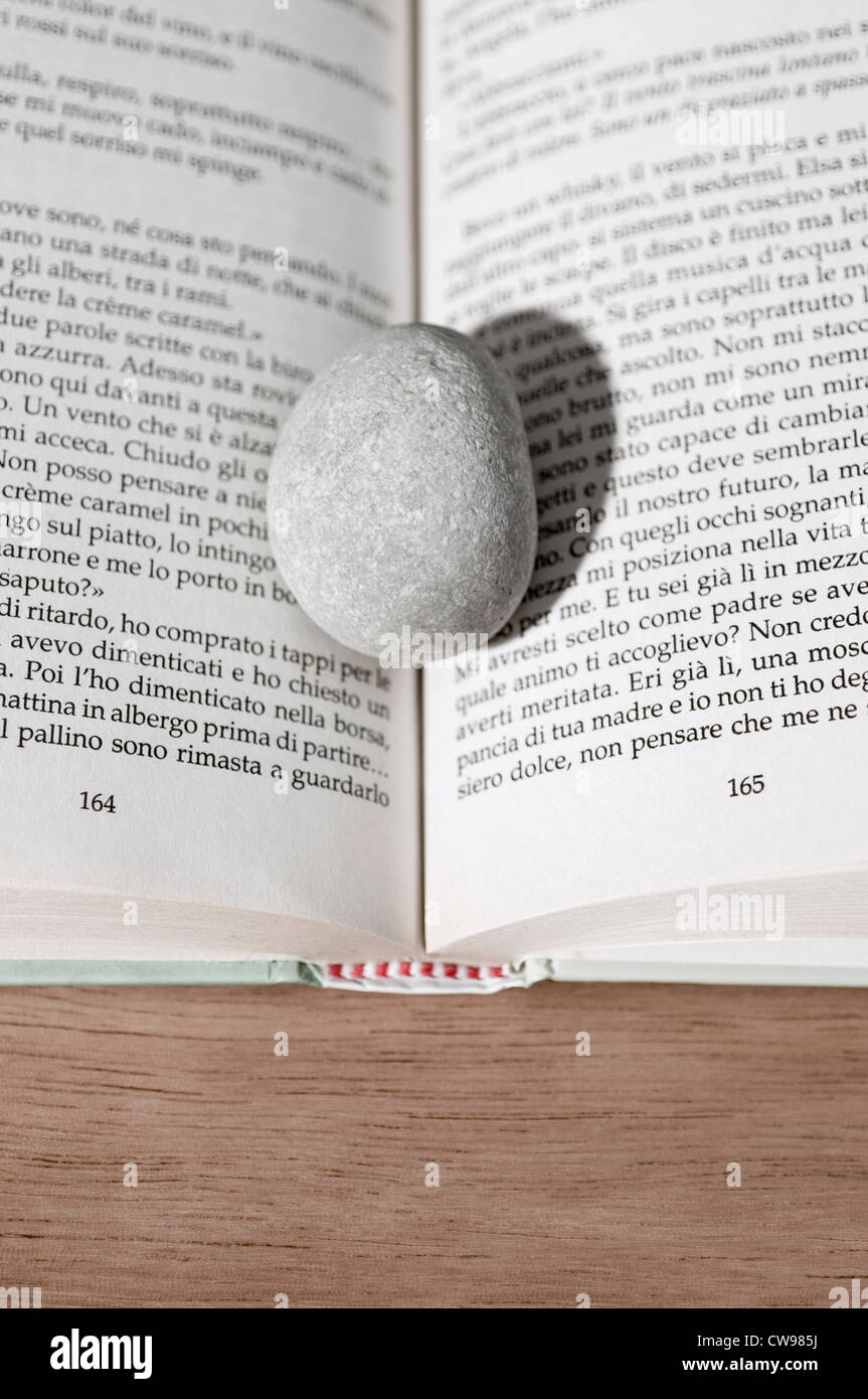 stone on book Stock Photo - Alamy