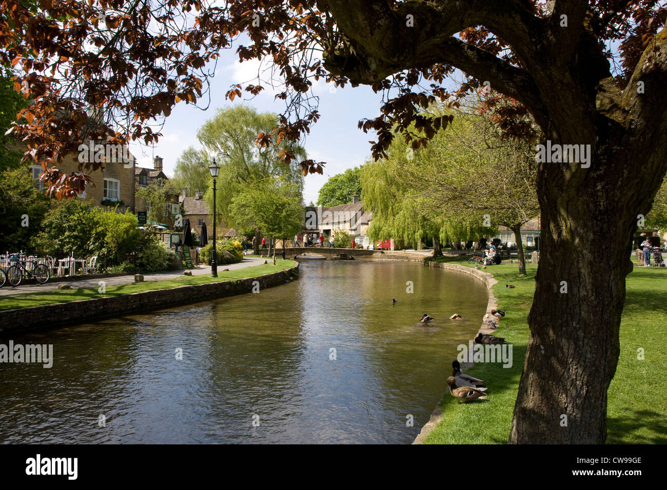 Bourton-on-the-Water: village green & River Windrush Stock Photo - Alamy