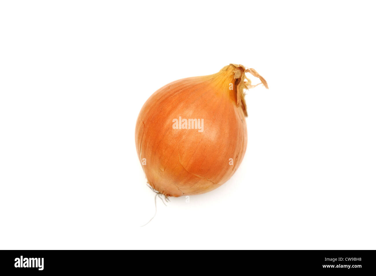 a cooking onion Stock Photo - Alamy