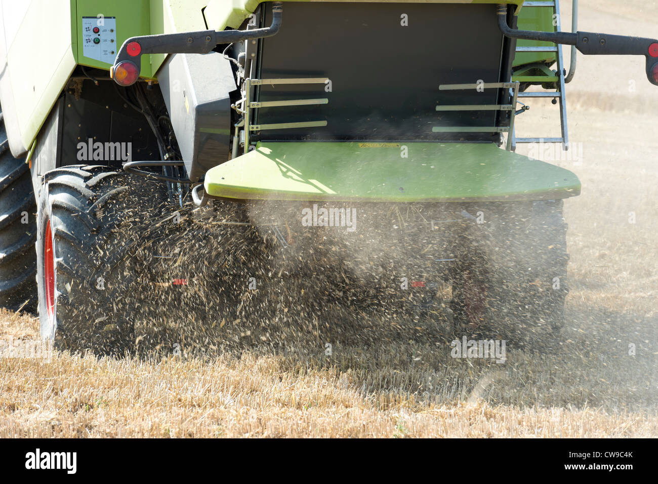 Chaff Wheat Stock Photos & Chaff Wheat Stock Images - Alamy