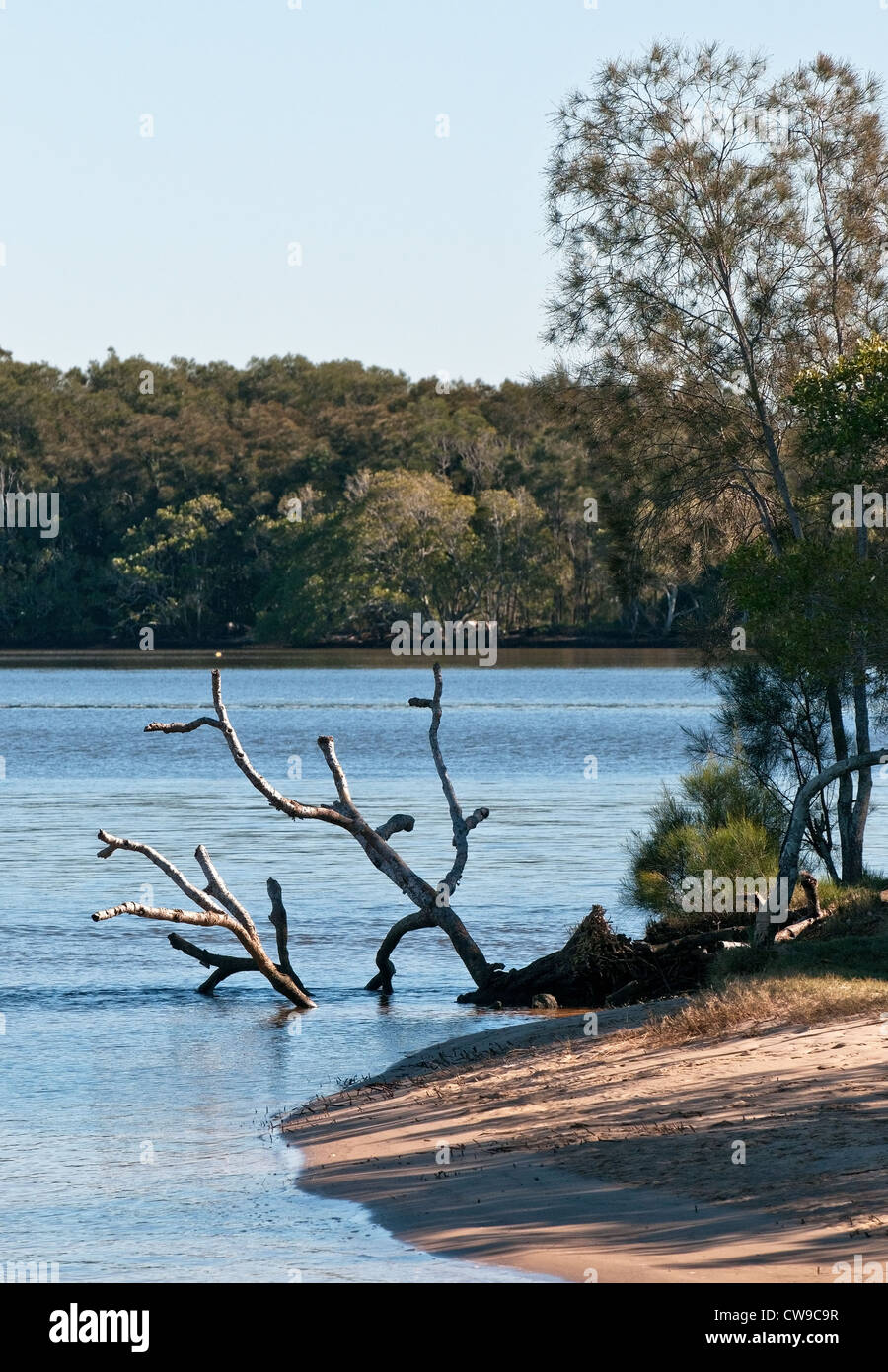 The Maroochy River in Queensland Australia Stock Photo - Alamy