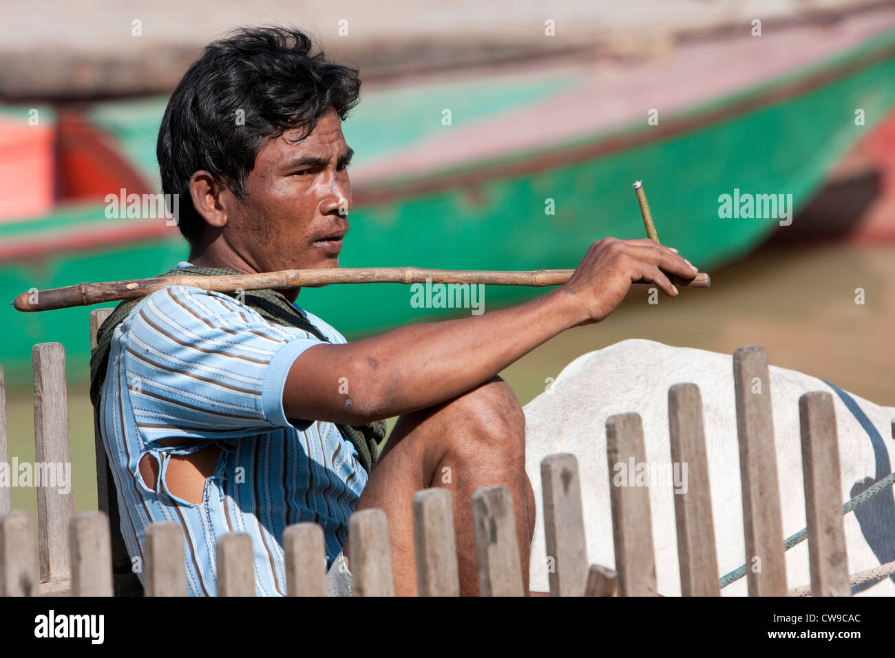 Myanmar, Burma. Bagan. Burmese Man with a Cheroot Stock Photo - Alamy