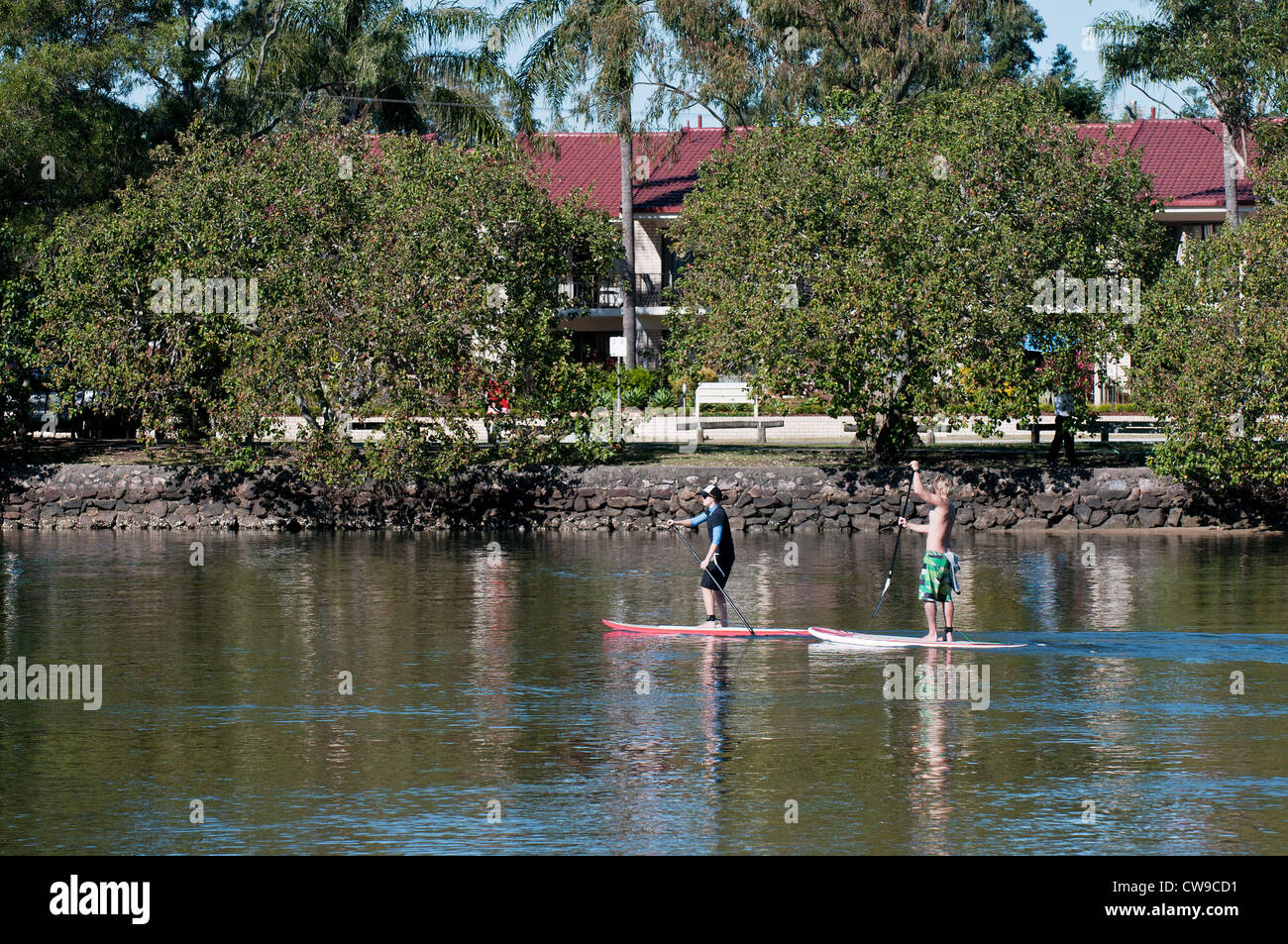 Maroochy River Queensland - Two males paddle boarding along the ...