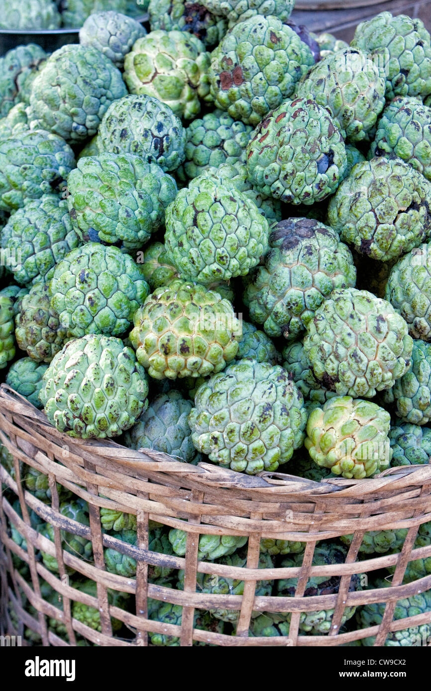 Myanmar, Burma. Custard Apples Stock Photo - Alamy