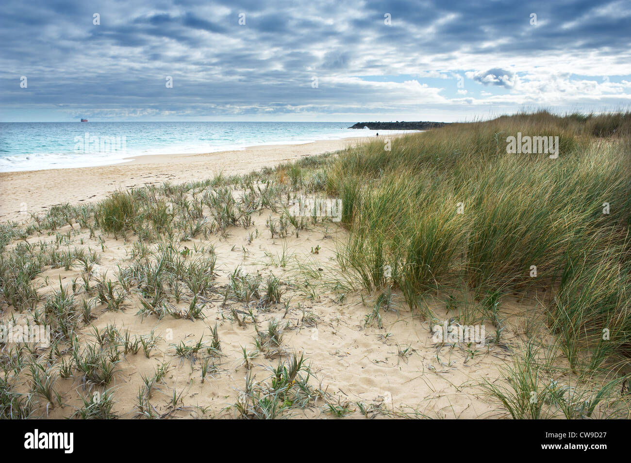 Warnbro Sound Beach in Western Australia Stock Photo - Alamy