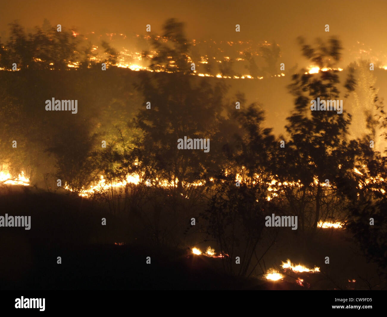 Fire burning firewood in big hi-res stock photography and images - Alamy