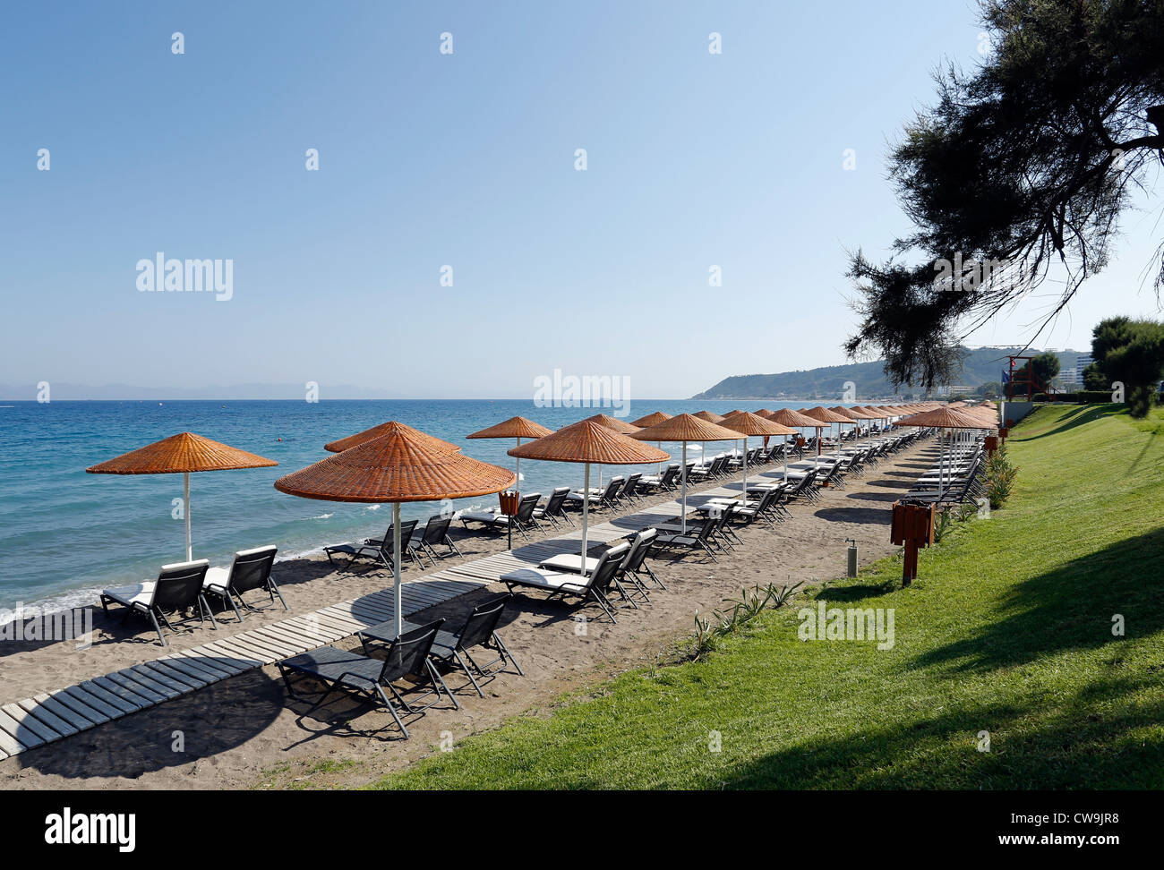 Ixia hi-res stock photography and images - Alamy