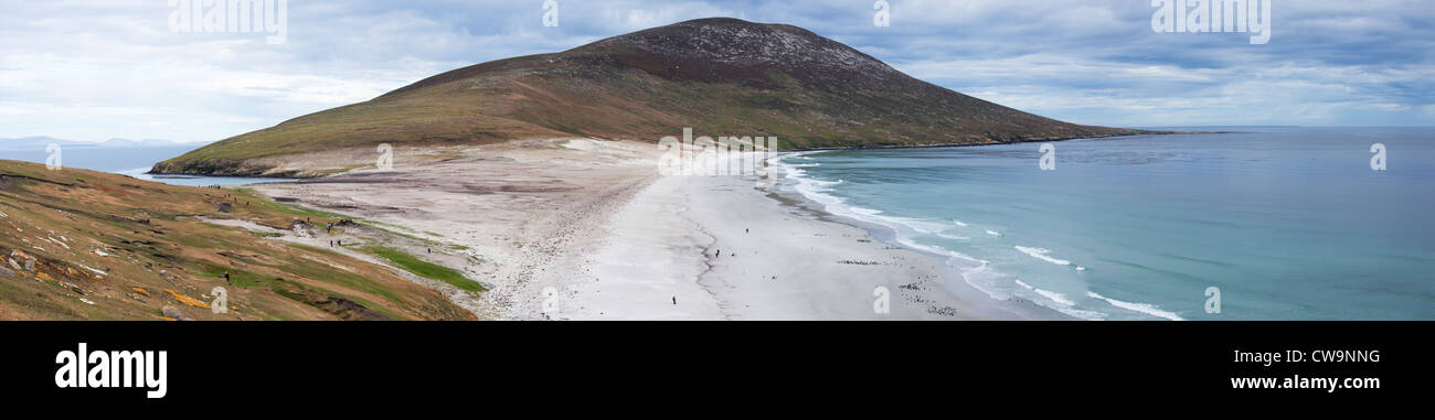 Panoramic of Saunders Island in the Falklands Stock Photo - Alamy