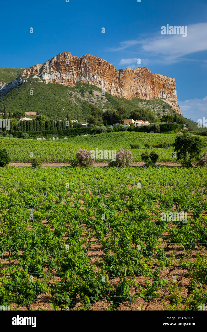 Cap Canaille, the highest sea cliff in France overlooking Domaine du ...