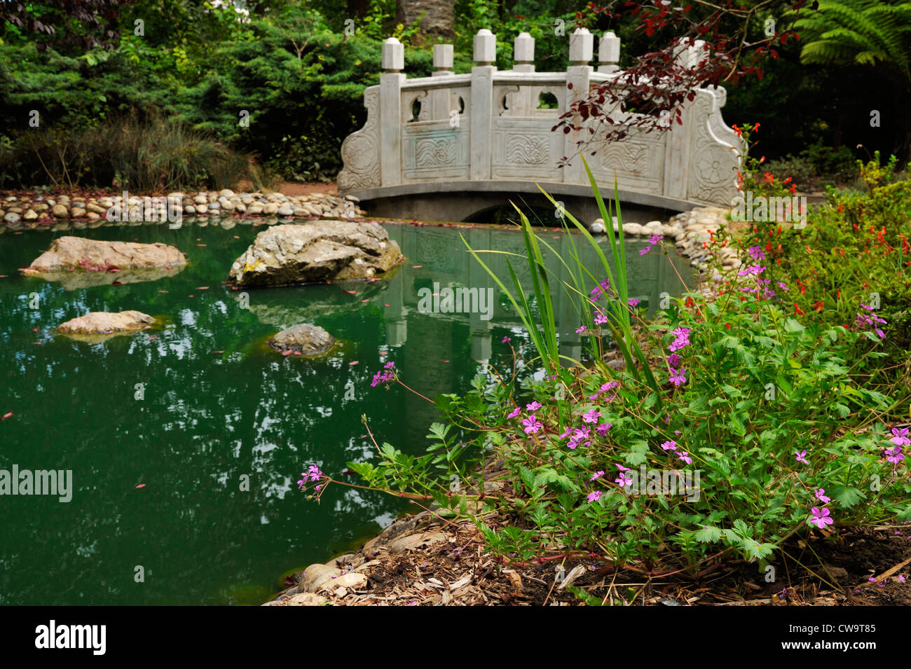 Stow lake golden gate park hi-res stock photography and images - Alamy