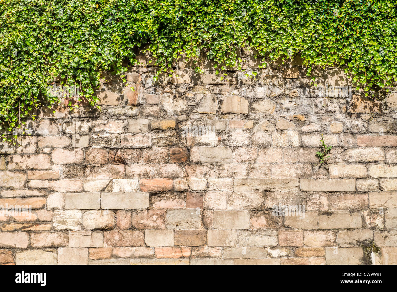Old medieval wall hi-res stock photography and images - Alamy